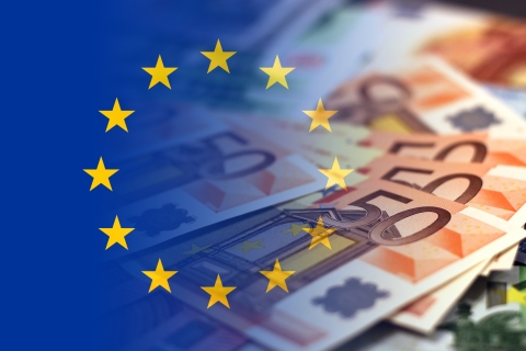 EESC favours European Sovereignty Fund over national subsidies ...