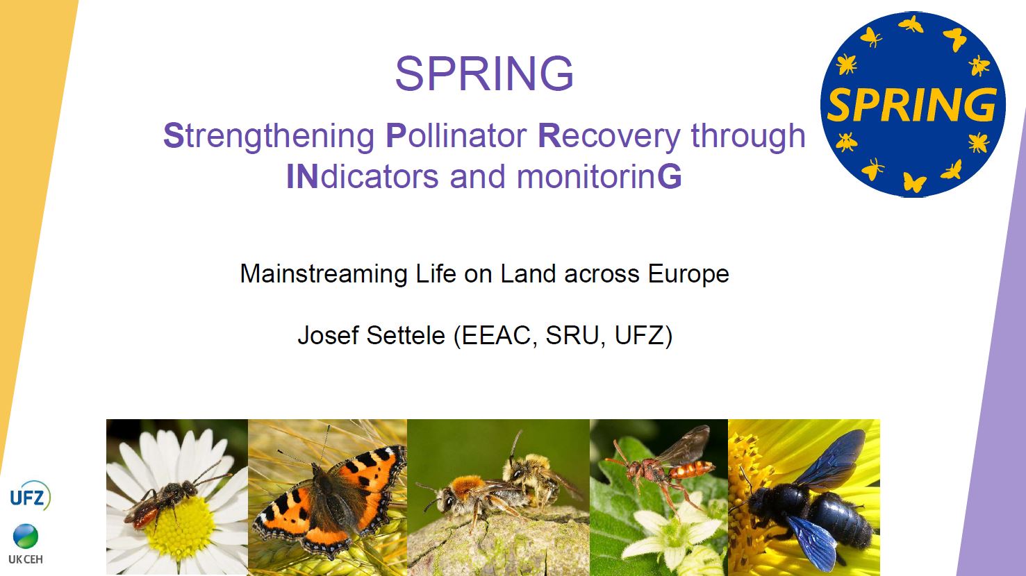 Strengthening Pollinator Recovery through Indicators and Monitoring ...