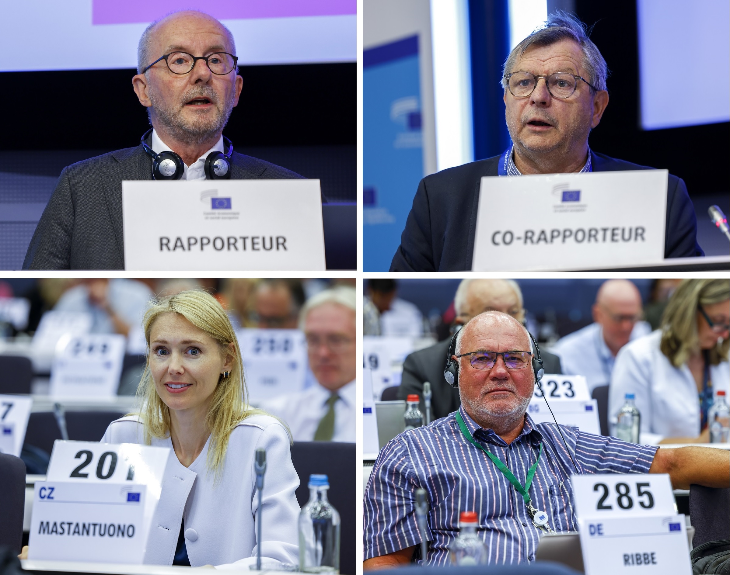 Electricity market reform - European Economic and Social Committee ...