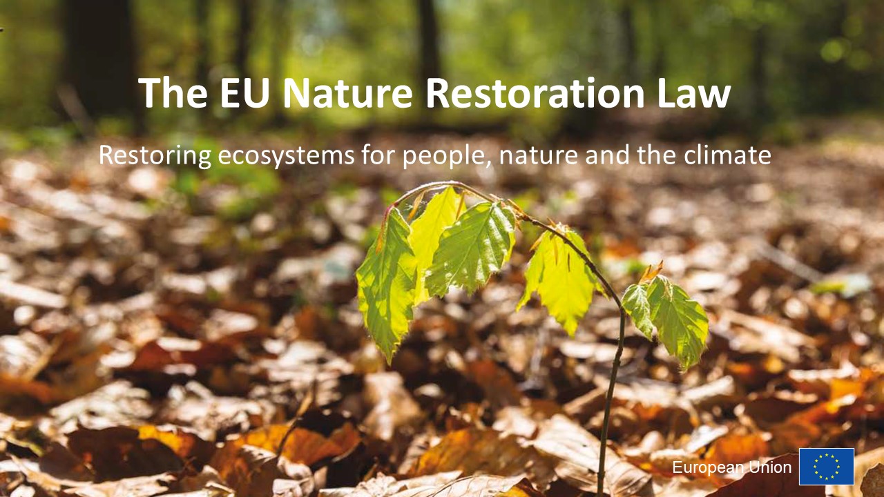 The EU Nature Restoration Law | European Economic and Social Committee