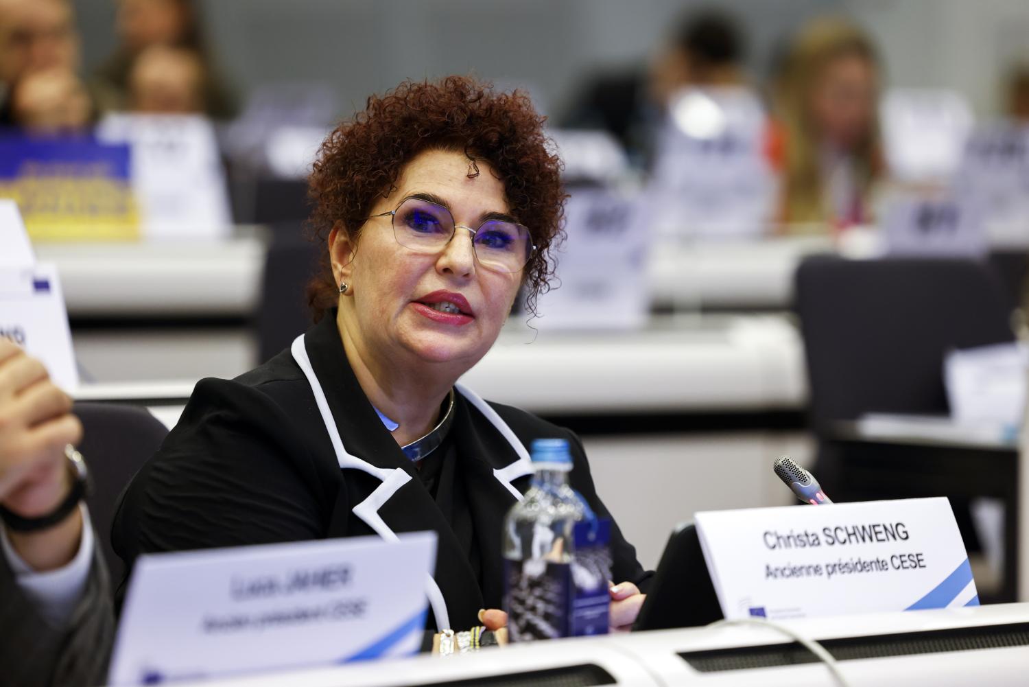 13_12_23_eesc_plennary_session-151.jpg | EESC