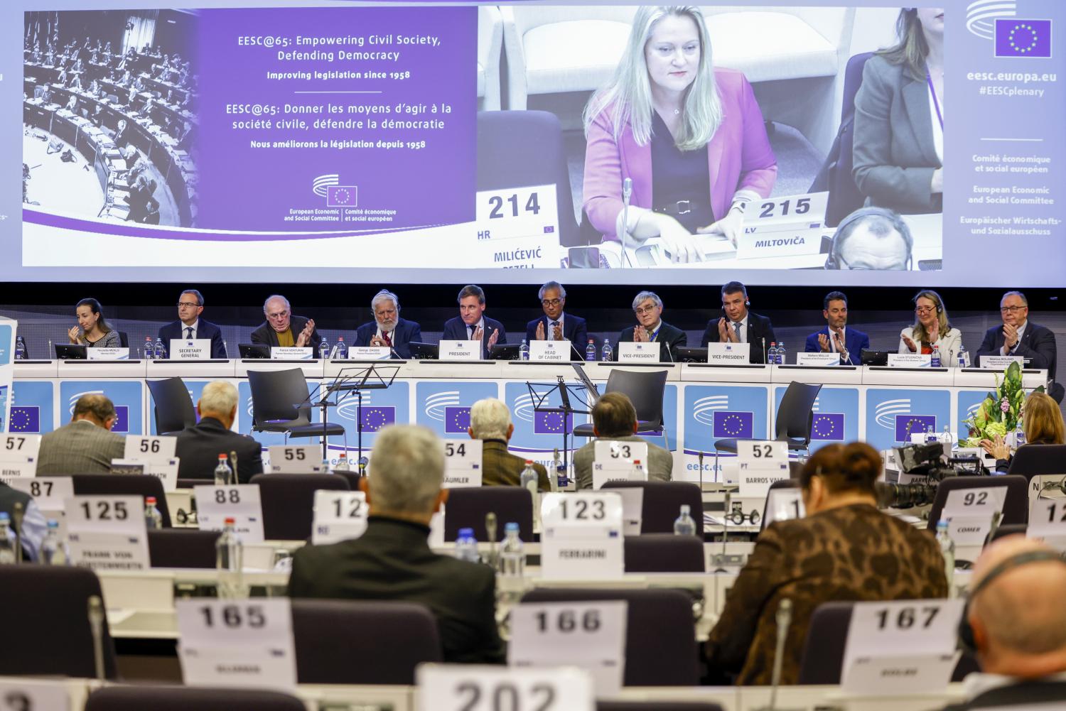 13_12_23_eesc_plennary_session-153.jpg | EESC