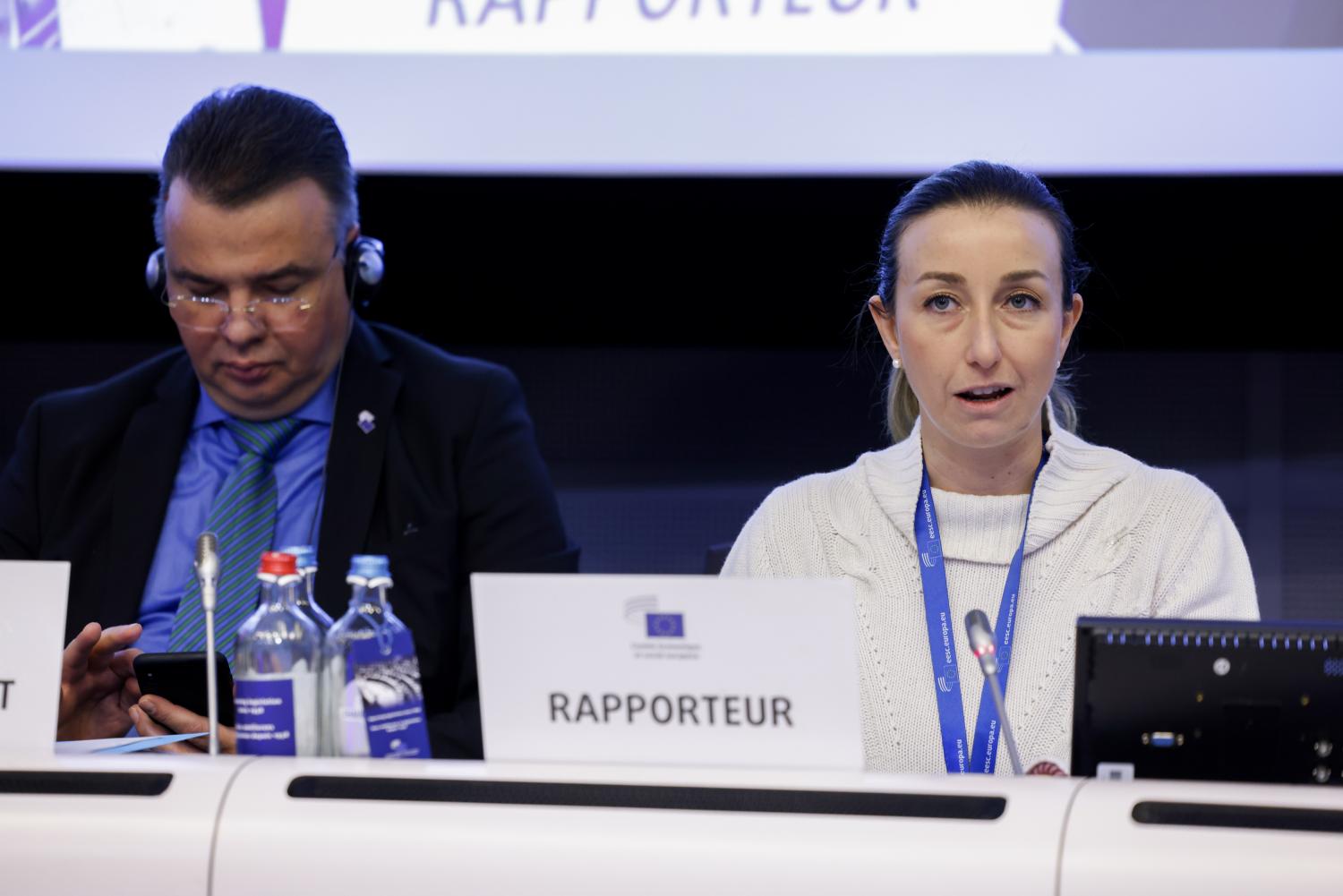 14_12_23_eesc_pleanary_-32.jpg | EESC