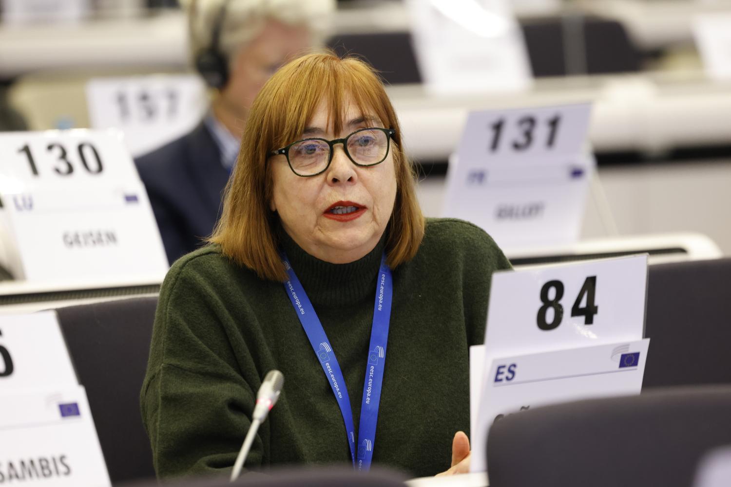 14_12_23_eesc_pleanary_-45.jpg | EESC