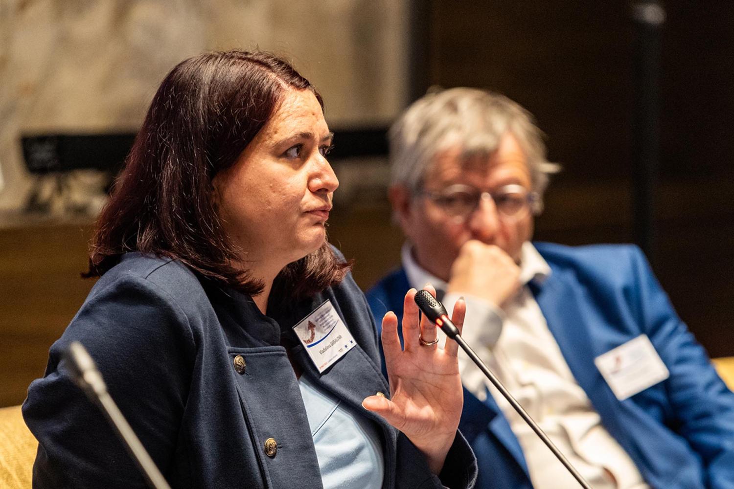 20240525_continuing_eu_enlargement_43.jpg | EESC