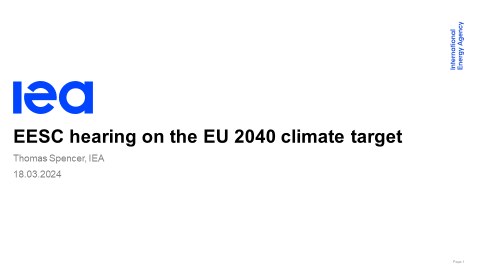 EESC hearing on the EU 2040 climate target | EESC