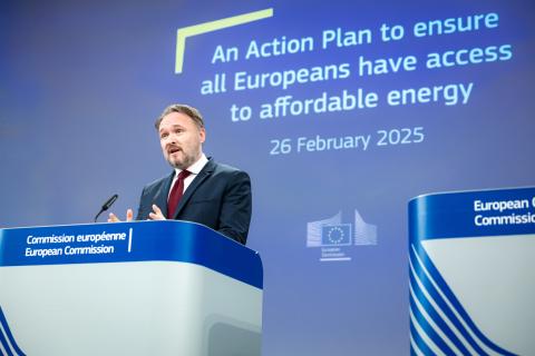 EU Action Plan on Affordable Energy: how can we avoid high prices? | EESC